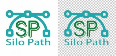 RASTER TO VECTOR CONVERSION | Silo Path