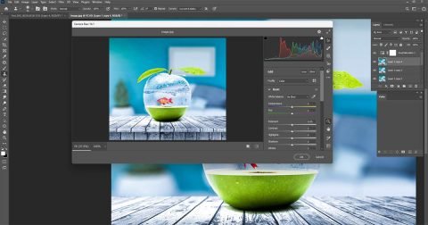 Top 10 Photo Manipulation Techniques and Tools - SiloPath